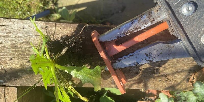 8 Best Weeding Tools I Use as a professional Gardener
