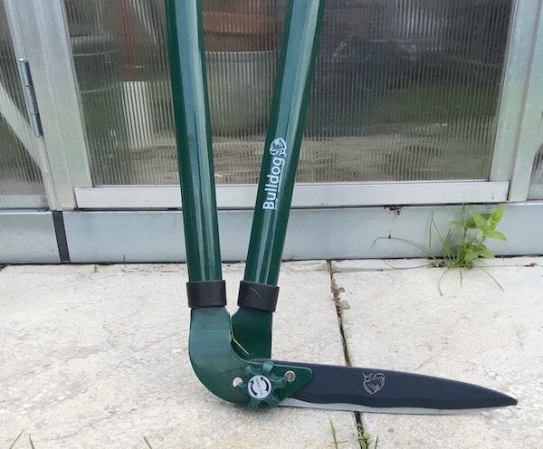 7 Best Edging Shears For Your Lawn – UK Comparison Guide