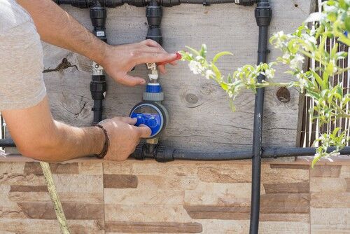 How To Set Up a Water Drip System - Step by Step | Pyracantha.co.uk