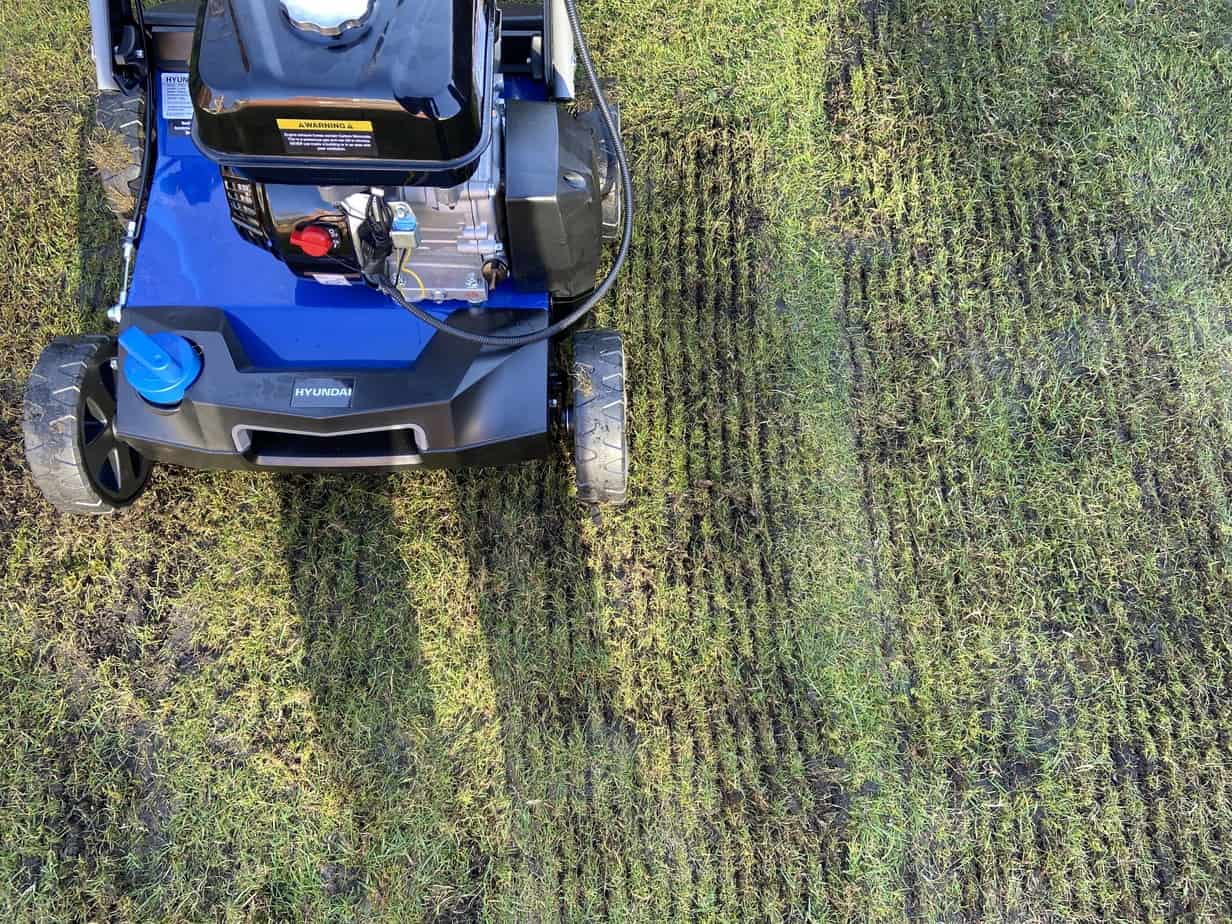 5 Best Petrol Lawn Scarifiers My Picks as a Professional Gardener