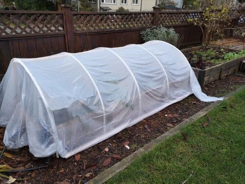 7 Best Polytunnels For Gardens & Allotments - UK Kit Builds