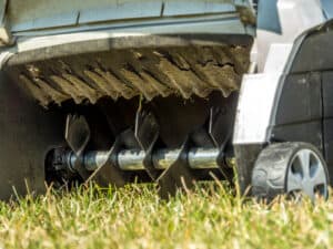 8 Best Lawn Scarifiers For Removing Moss & Thatch - 2024 Update