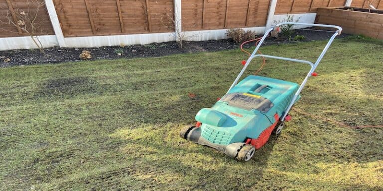 8 Best Lawn Scarifiers For Removing Moss & Thatch - 2024 Update