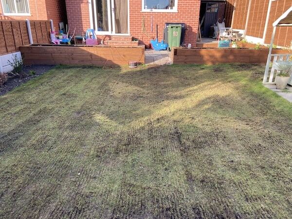 8 Best Lawn Scarifiers For Removing Moss & Thatch - 2024 Update