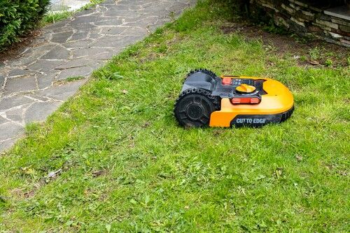 4 Best Robot Lawn Mowers for Large Gardens - UK Models