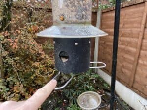 5 Best Pigeon-proof Bird Feeders - Tested For Effectiveness