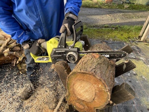 Top 5 Best Cordless Chainsaws - Buyers Guide & Reviews | Pyracantha.co.uk