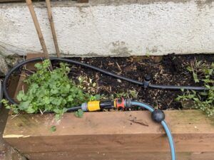 5 Best Automatic Watering Systems for borders & pots - Tested
