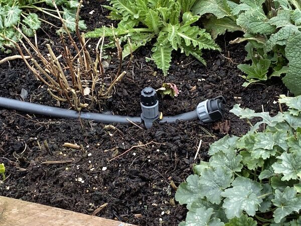 How To Set Up An Automatic Watering System In Your Garden | Pyracantha ...