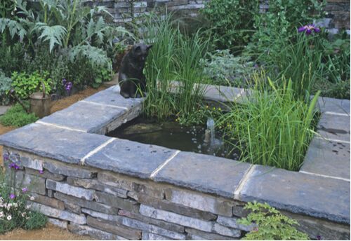 3 Best All In One Pond Pumps and Filter Units - UK Review