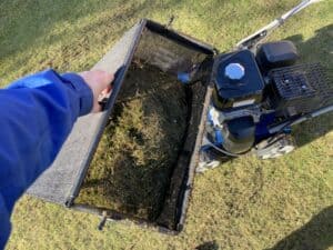 8 Best Lawn Scarifiers For Removing Moss & Thatch - 2024 Update