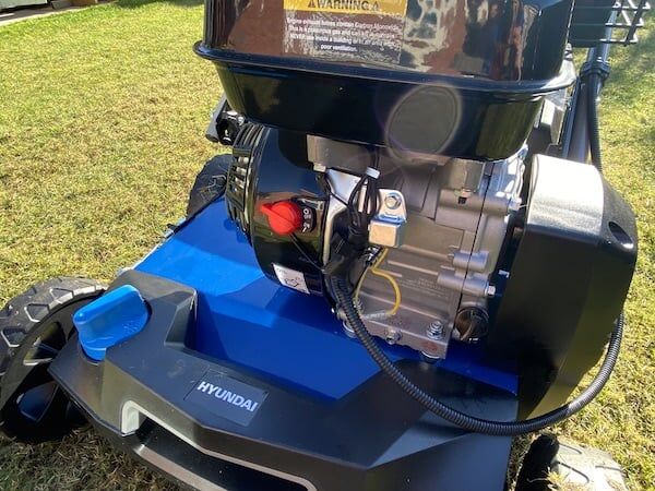 5 Best Petrol Lawn Scarifiers - My Picks as a Professional Gardener