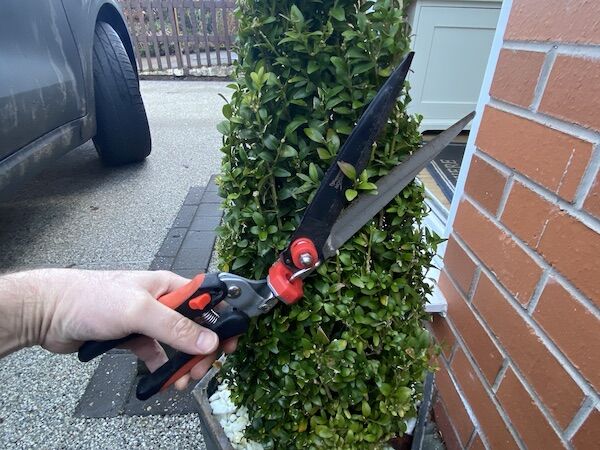 5 Best Topiary Shears For Trimming Buxus, Yews & Topiary Plants