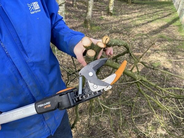 Tested and Approved: 6 Best Telescopic Tree Pruners For Thick Branches