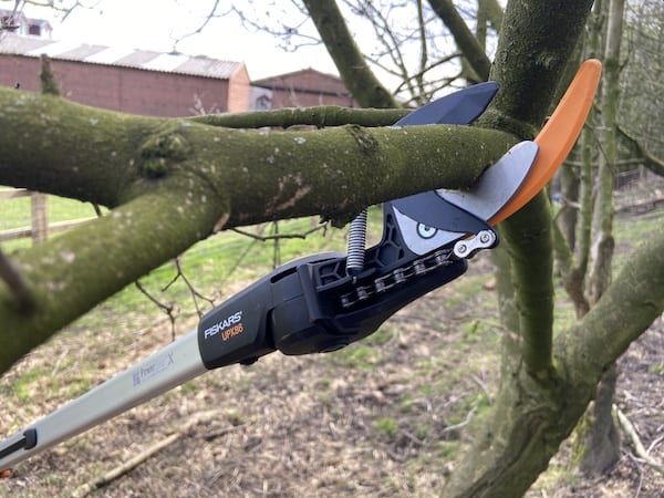 Tested and Approved: 6 Best Telescopic Tree Pruners For Thick Branches