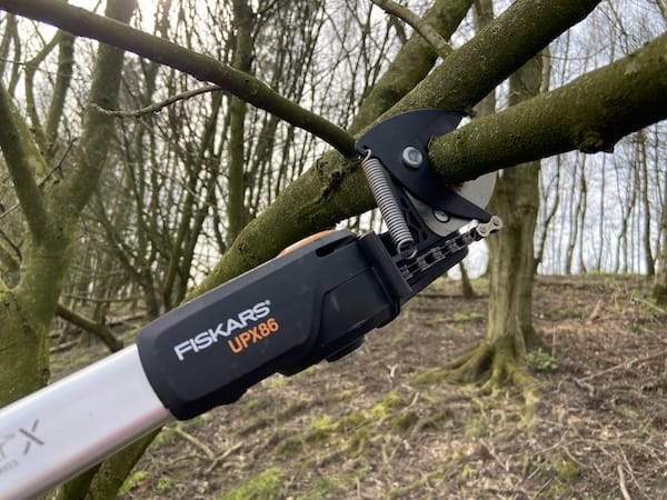 Tested and Approved: 6 Best Telescopic Tree Pruners For Thick Branches
