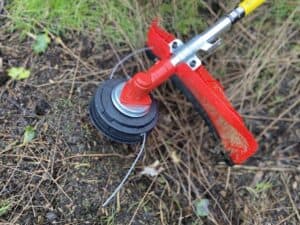 6 Best Strimmers & Brush Cutters For Brambles – Tested!
