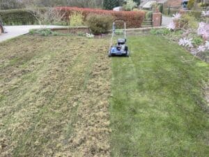 8 Best Lawn Scarifiers For Removing Moss & Thatch - 2024 Update