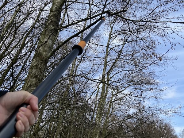 Tested and Approved: 6 Best Telescopic Tree Pruners For Thick Branches