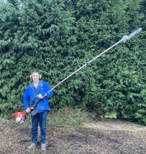 6 Best Long Reach Pole Chainsaws - TESTED & Reviewed