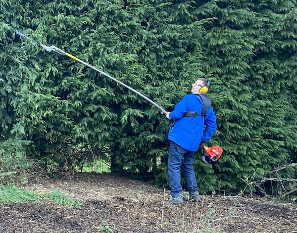 7 Best Long Reach Hedge Trimmers - User Testing, Comparison & Review