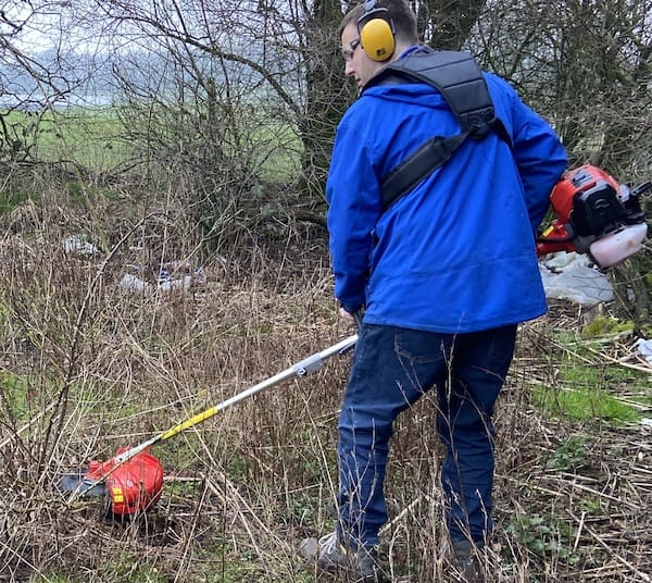 6 Best Strimmers & Brush Cutters For Brambles – Tested!