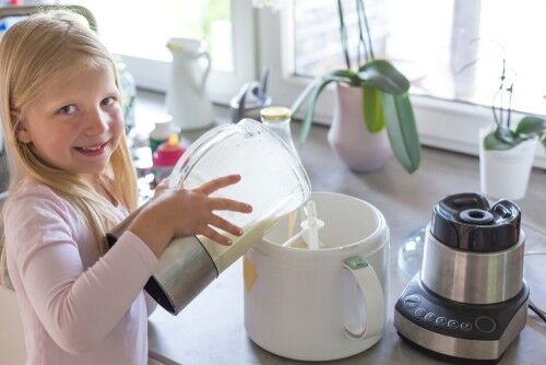 5 Best Electric Ice Cream Makers – Easy and delicious | Pyracantha.co.uk