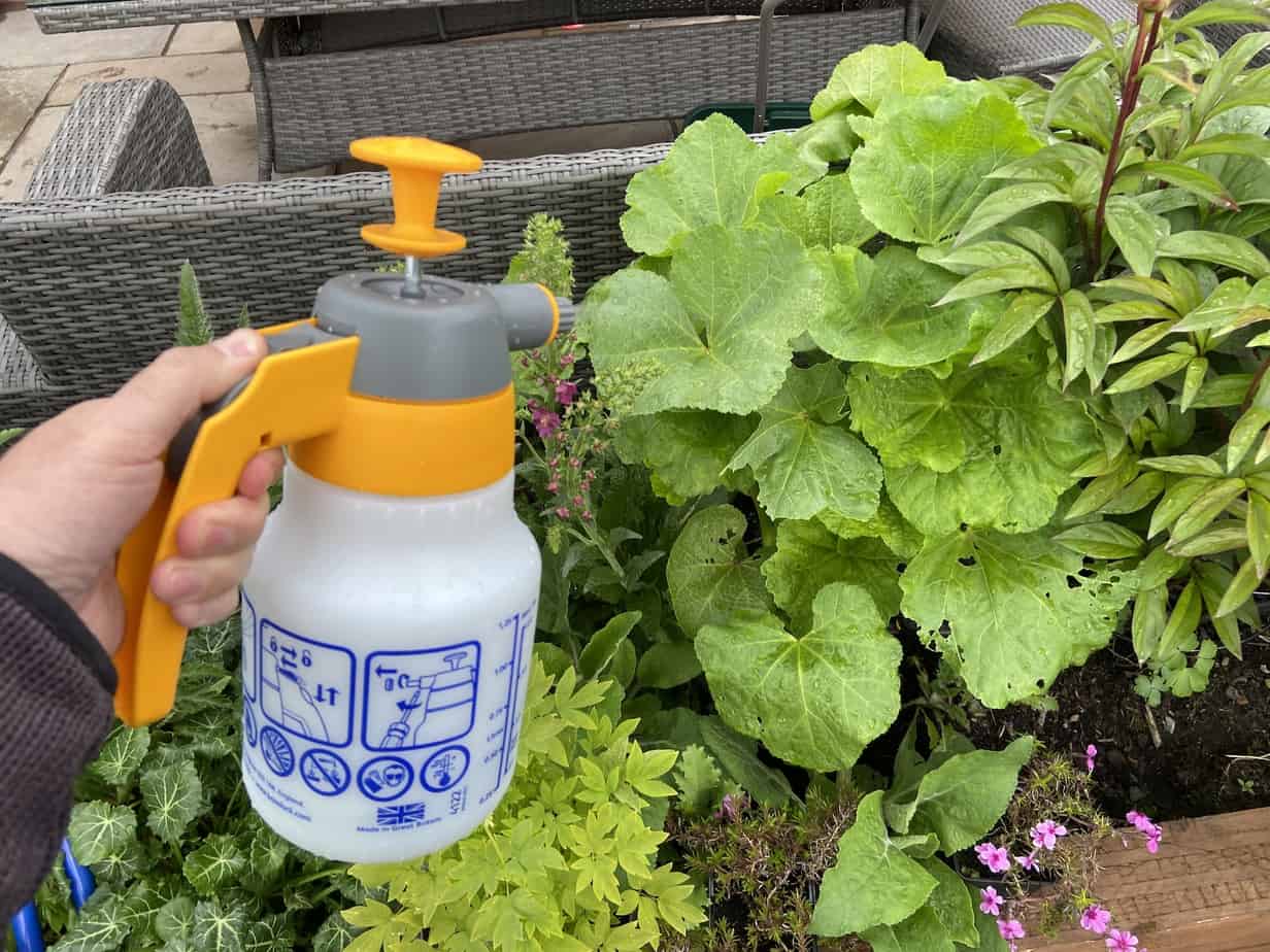 The Best Garden Sprayers - TESTED By Expert Gardener