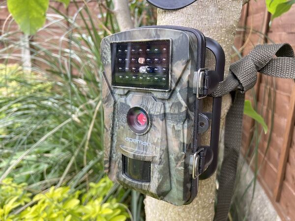 Testing The Best Wildlife Trail Cameras - One Model Beats Them All!