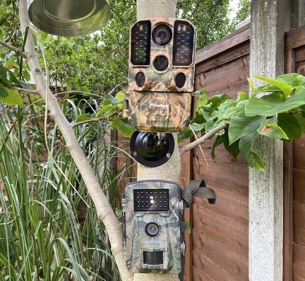 Trail camera reviews store