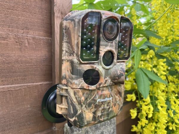 Testing The Best Wildlife Trail Cameras - One Model Beats Them All!