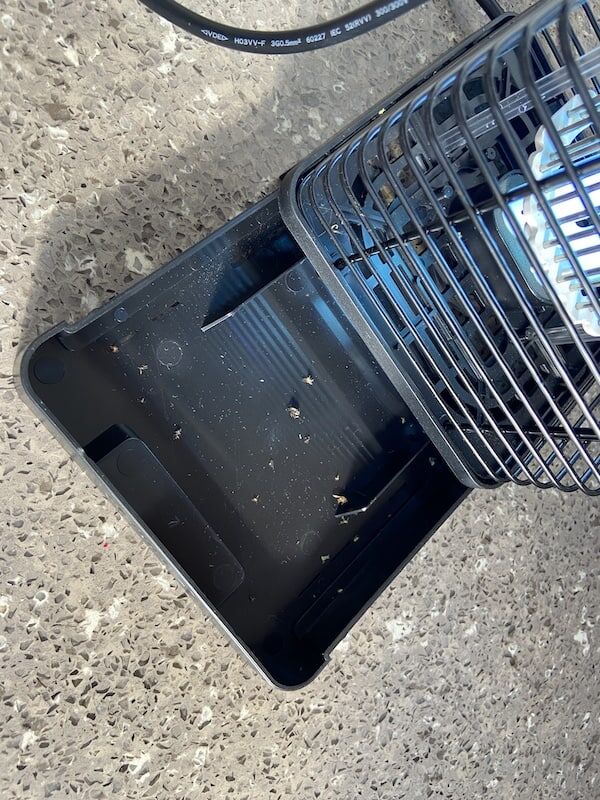 5 Best Electric Fly Killers – Compare effectiveness & Quality