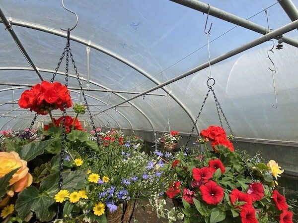 7 Best Polytunnels For Gardens & Allotments - UK Kit Builds