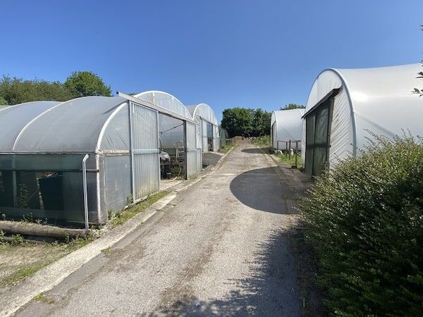 7 Best Polytunnels For Gardens & Allotments - UK Kit Builds