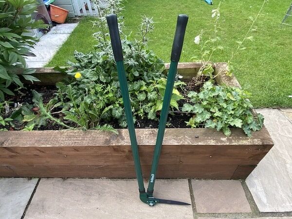 7 Best Edging Shears For Your Lawn – UK Comparison Guide