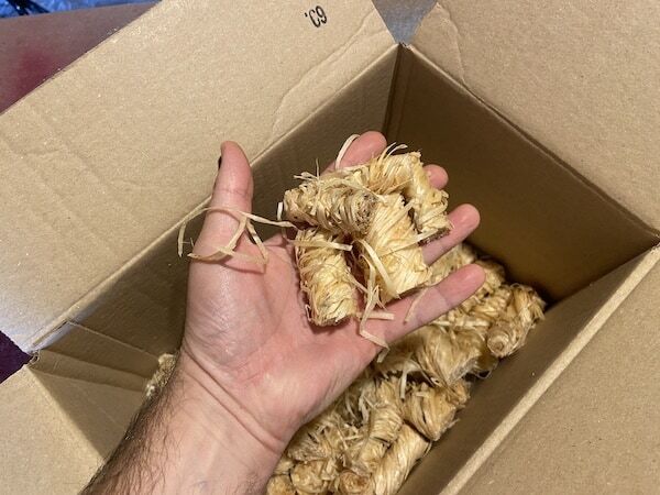 5 Best Fire Lighters For BBQs and Wood Burning Stoves Tested