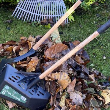 5 Best Leaf Rakes - My Favourite Rakes For Professional Gardening