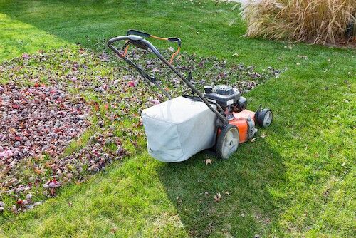 5 Best Leaf Grabbers I Use For Collecting Leaves Professionaly