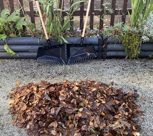 5 Best Leaf Grabbers I Use For Collecting Leaves Professionaly