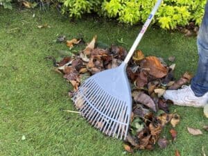 5 Best Leaf Rakes - My Favourite Rakes For Professional Gardening