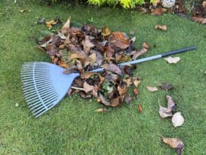 5 Best Leaf Rakes - My Favourite Rakes For Professional Gardening