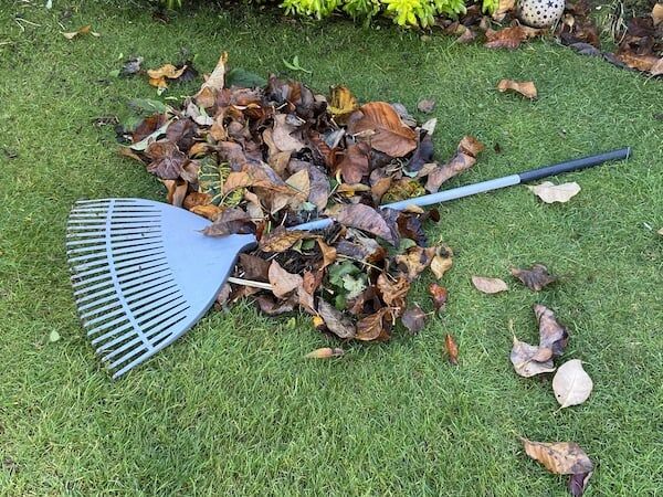 5 Best Leaf Rakes - My Favourite Rakes For Professional Gardening