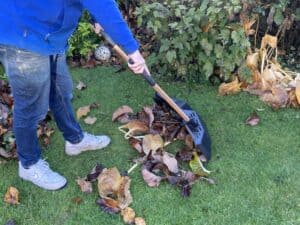 5 Best Leaf Grabbers I Use For Collecting Leaves Professionaly