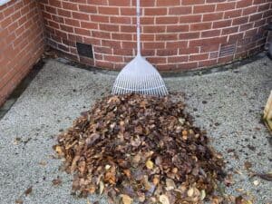 5 Best Leaf Rakes - My Favourite Rakes For Professional Gardening
