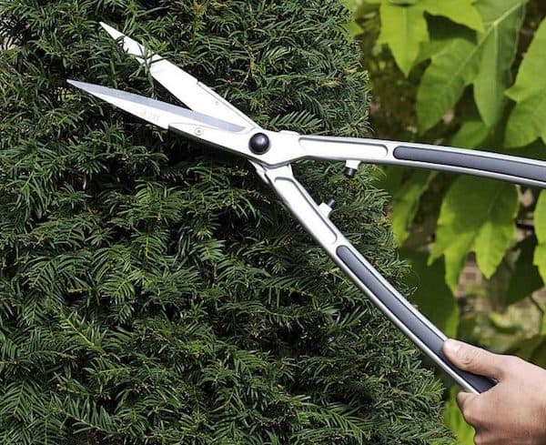 5 Best Topiary Shears For Trimming Buxus, Yews & Topiary Plants